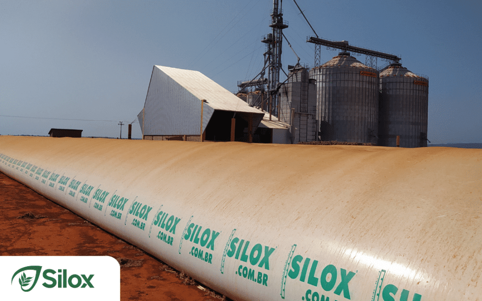 Quando usar Silo-Bolsa em meus grãos? – Nortene Plasticos